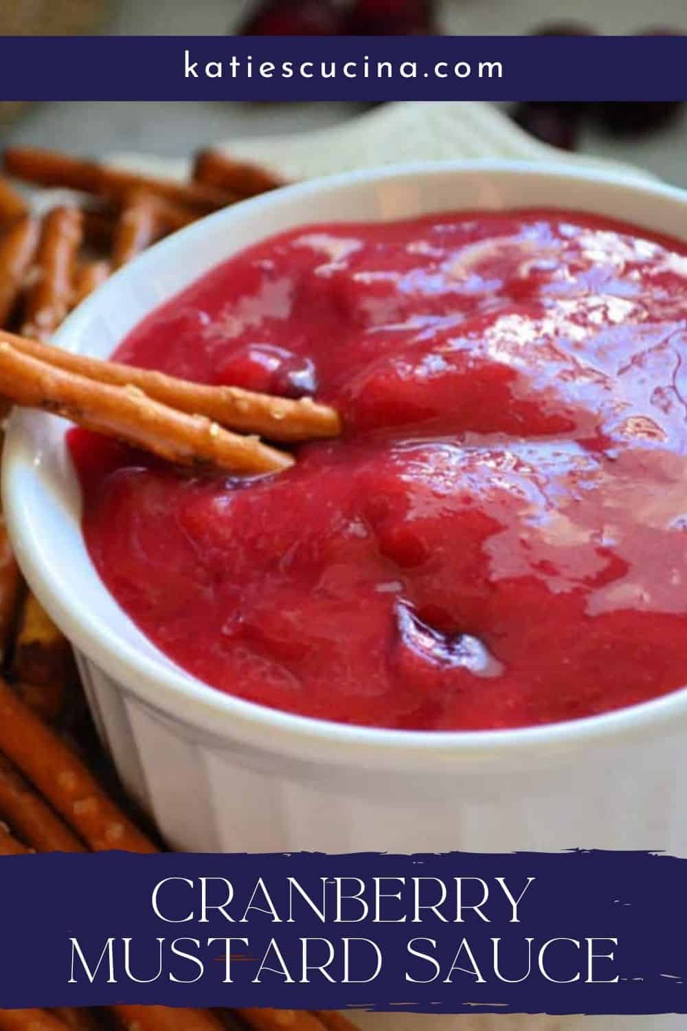 Cranberry Mustard Sauce - Katie's Cucina