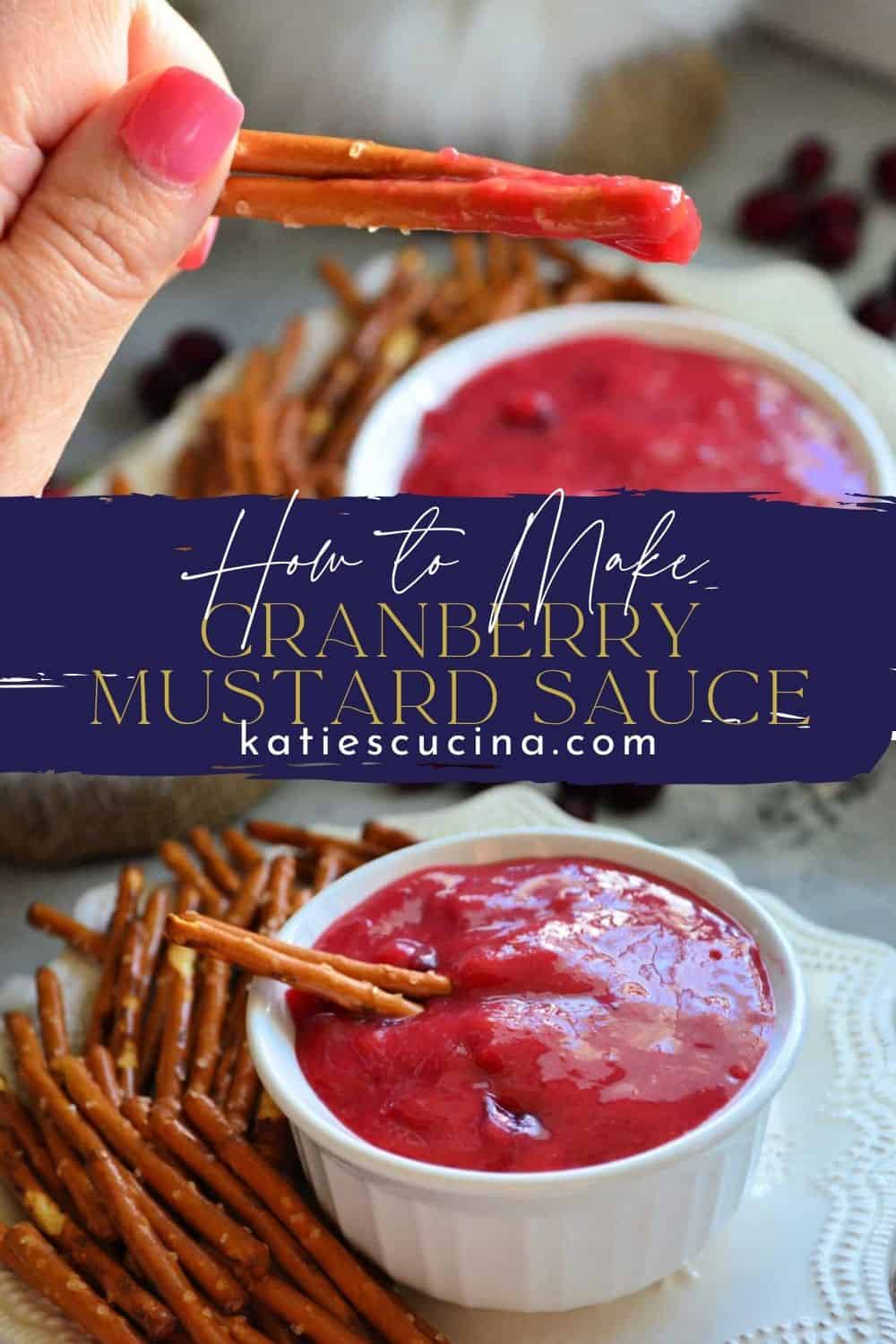 Cranberry Mustard Sauce - Katie's Cucina