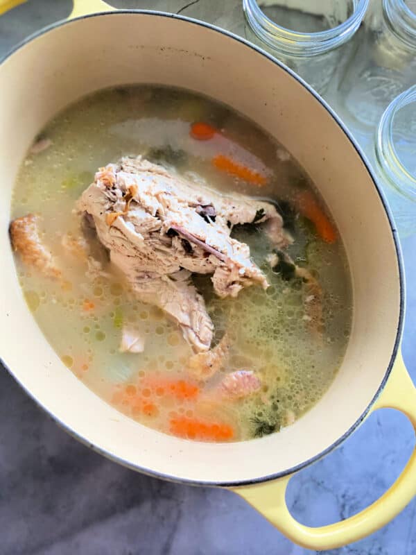 Rotisserie Chicken Noodle Soup - Katie's Cucina