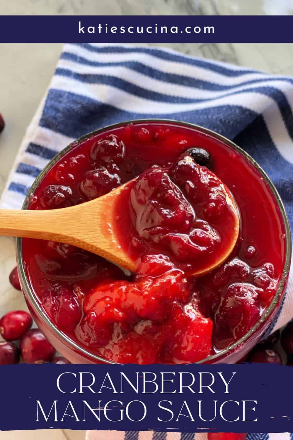 Cranberry Mango Sauce