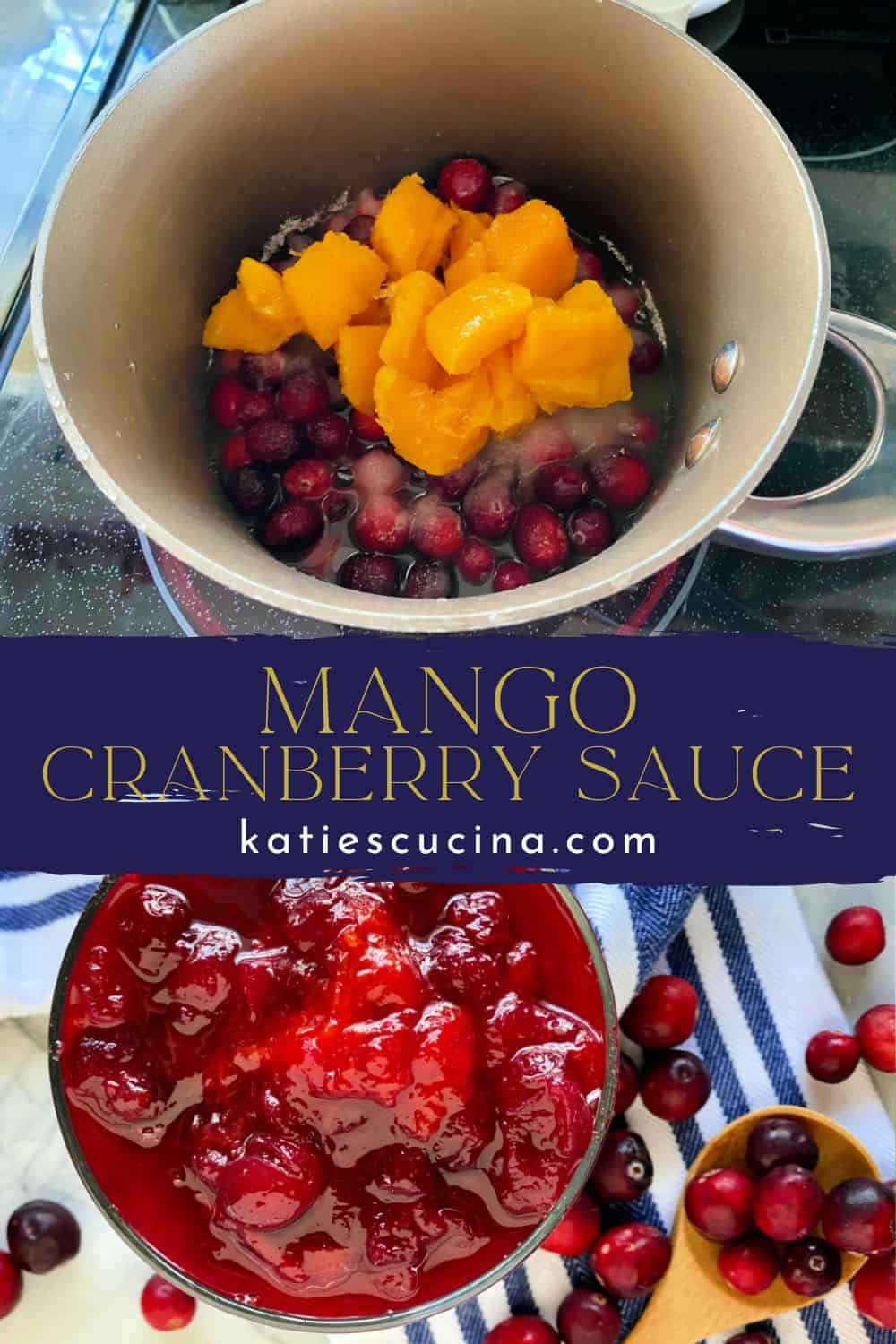 Cranberry Mango Sauce