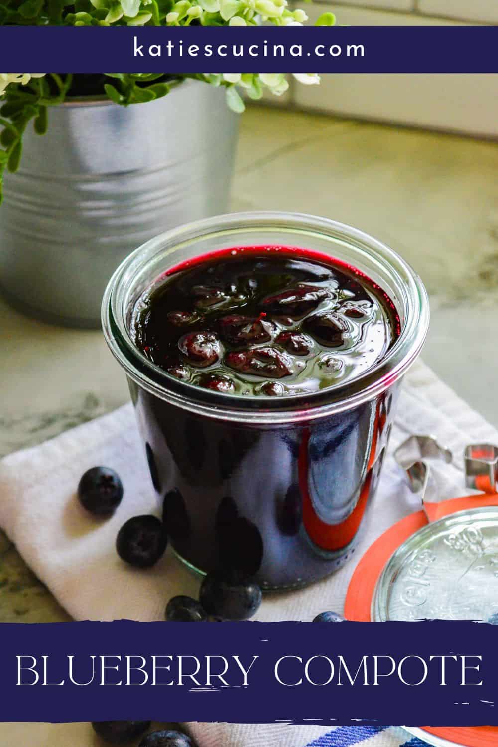 Blueberry Compote - Katie's Cucina